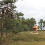 From Riga: Budget Day Trip to Kolka in Zen style! - Approaching Kolka: A Place of Pure Nature