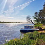 From Riga: Four Natural Ecosystems In One Hike - Authentic Feedback from Travelers