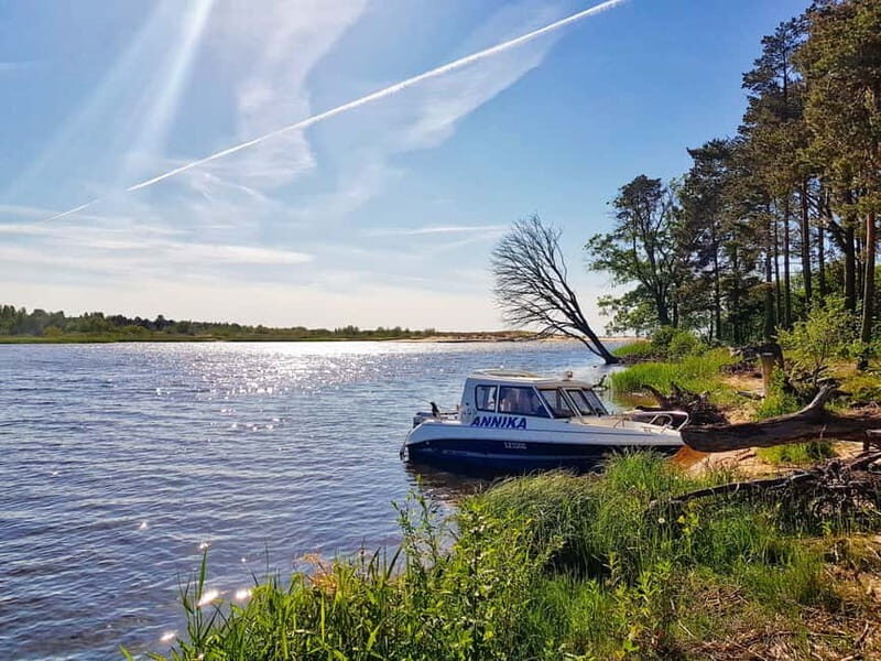From Riga: Four Natural Ecosystems In One Hike - Authentic Feedback from Travelers