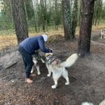 From Riga: Husky Sledding or Wheel Kart Tour - Who Will Love This Tour?