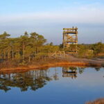 From Riga: Kemeri National Park and Kuldiga Tour - Why This Tour Works