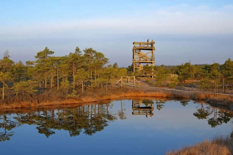 From Riga: Kemeri National Park and Kuldiga Tour - Why This Tour Works