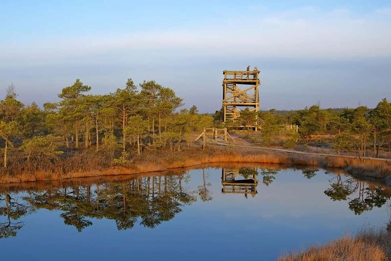 From Riga: Kemeri National Park and Kuldiga Tour - Why This Tour Works
