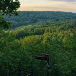 From Riga: Siguldas Top Sights & Scenic Picnic - Is It Worth the Price?