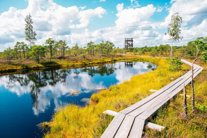 From Riga: Trip to Kemeri National Park & Jurmala - First Stop: Kemeri Bog Boardwalk and Observation Tower