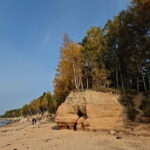 From Riga: Vidzeme Coast Half-Day Trip with Lunch - Transport, Timing, and Group Dynamics