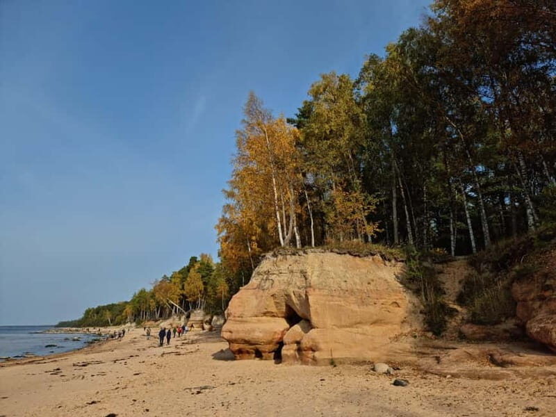 From Riga: Vidzeme Coast Half-Day Trip with Lunch - Transport, Timing, and Group Dynamics