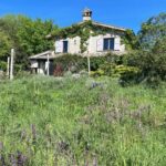 From Rome: Bracciano Lake & Calcata Day Trip, Wines & Lunch - Key Points