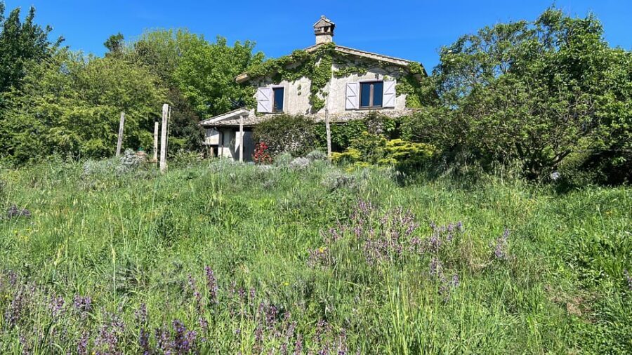 From Rome: Bracciano Lake & Calcata Day Trip, Wines & Lunch - Key Points