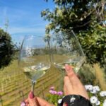 From Rome: Frascati Wine Tour with Lunch and Vineyard tour - Strolling Through Frascati’s Historic Streets