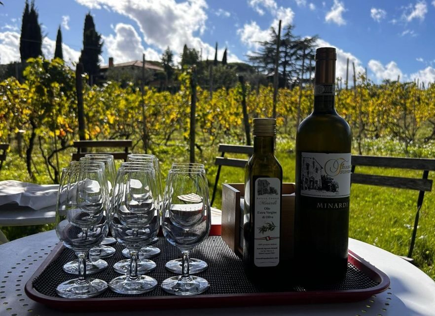 From Rome: Pasta Masterclass & Wine Tour in the Vineyard - The Vineyard and Farm Tour