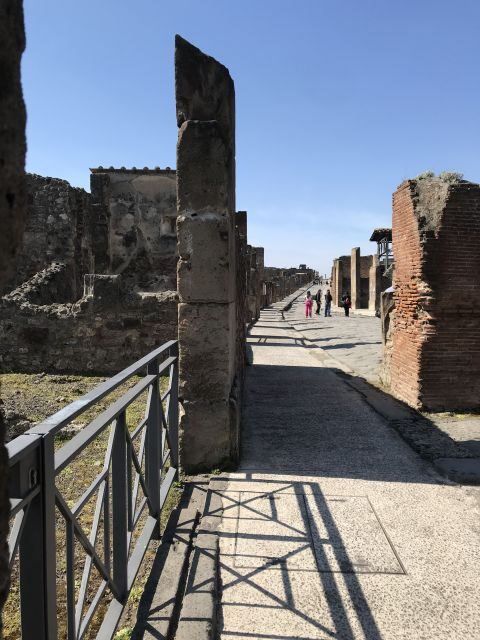 From Rome: Pompeii and Amalfi Coast Private Tour by Van - Analyzing the Cost and Overall Value