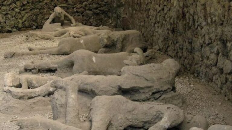 From Rome: Pompeii and Mount Vesuvius Day Trip - Key Points