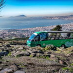 From Rome: Pompeii and Vesuvio Guided Day Trip with Lunch - What This Tour Really Offers