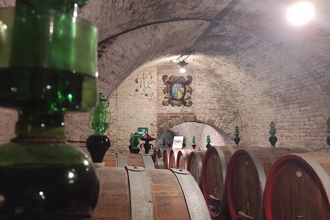 From Rome: Private Day-Tour of Tuscany - Who Should Consider This Tour?