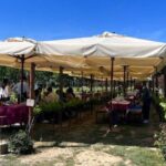 From Rome: Siena and S. Gimignano, Tuscany Wine One Day Tour - An In-Depth Look at the Experience