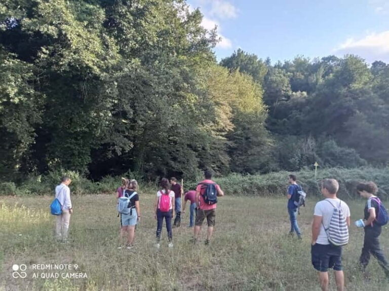 From Rome: Trekking to Cesano's Woods with Lunch - The Experience: Practical Details and What Travelers Say