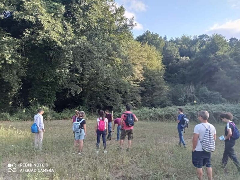 From Rome: Trekking to Cesano's Woods with Lunch - The Experience: Practical Details and What Travelers Say
