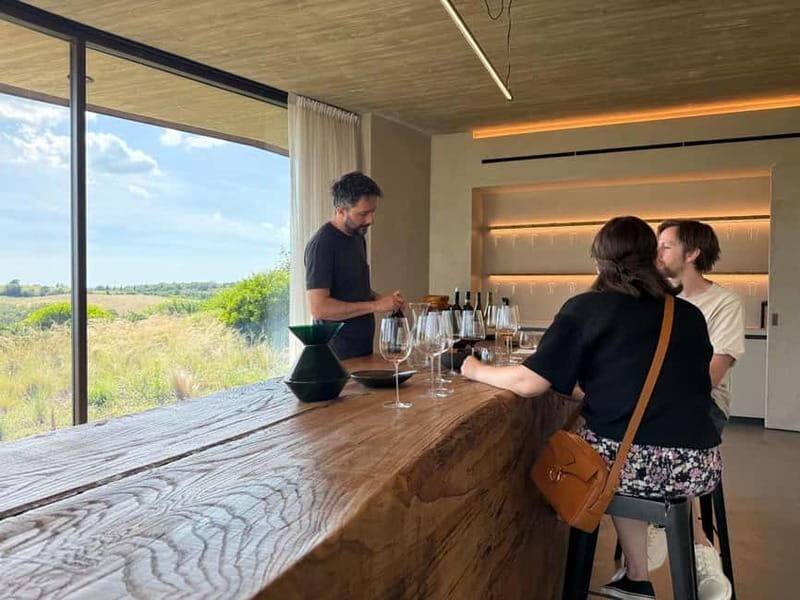From Rome: Tuscany Day Trip with Lunch and Wine Tastings - What Makes This Tour Stand Out