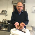 From Rome: Tuscia Day Trip with Hazelnut Farm & Lunch - A Closer Look at the Itinerary