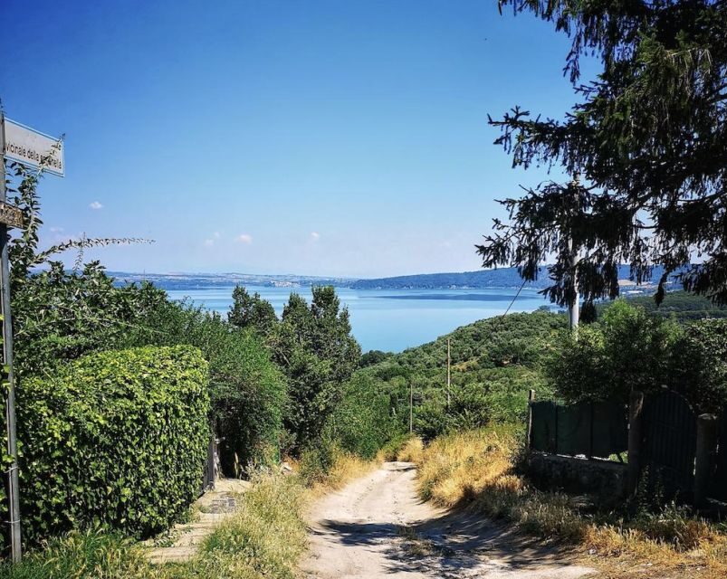 From Rome:Private Day Trip to Bracciano, Caprarola & Viterbo - Who Should Consider This Tour?