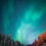 From Rovaniemi: Family-Friendly Northern Lights Tour - What Sets This Tour Apart?