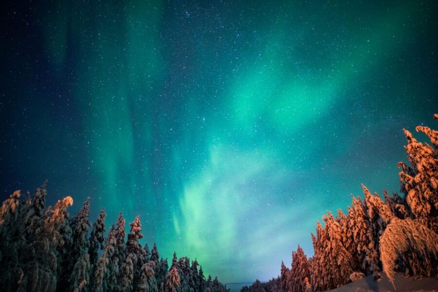 From Rovaniemi: Family-Friendly Northern Lights Tour - What Sets This Tour Apart?