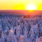 From Rovaniemi: Guided Lapland Snowmobile Adventure - The Route: What Will You See?