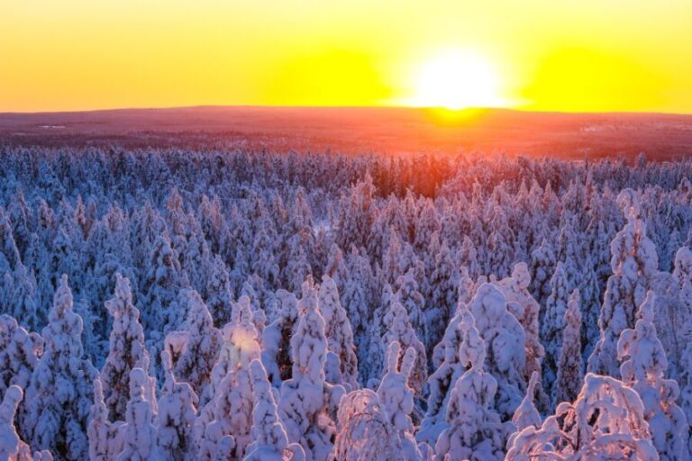 From Rovaniemi: Guided Lapland Snowmobile Adventure - The Route: What Will You See?