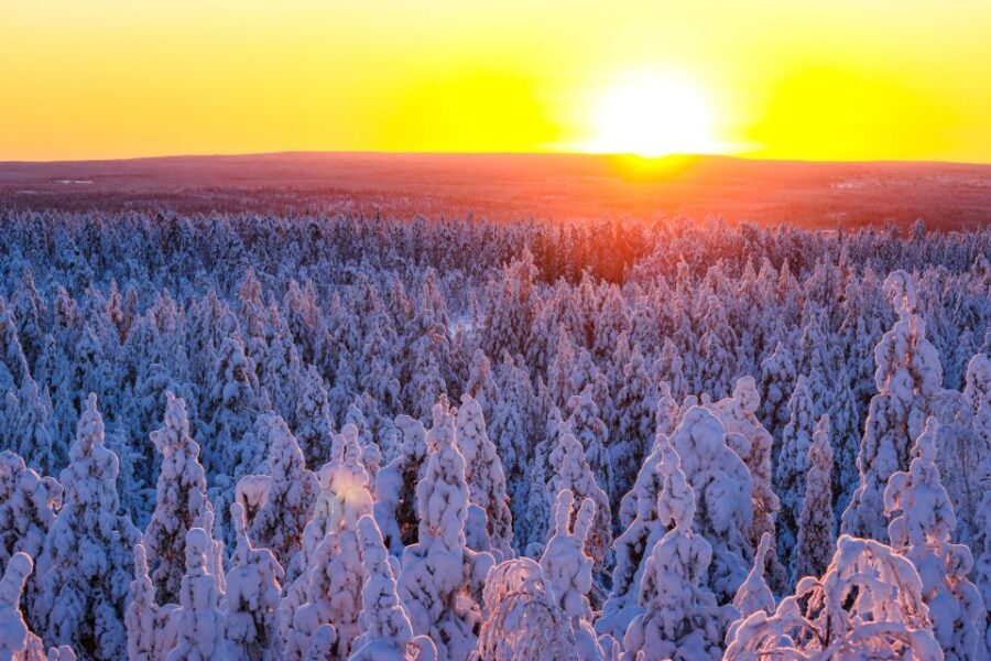 From Rovaniemi: Guided Lapland Snowmobile Adventure - The Route: What Will You See?