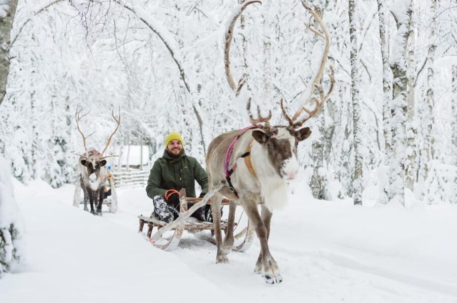 From Rovaniemi: Husky and Reindeer farm with sled ride - FAQ