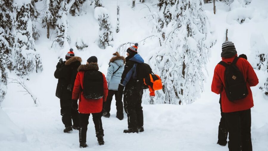 From Rovaniemi: Korouoma & Auttiköngäs Frozen Waterfalls - Authentic Experiences and Authenticity