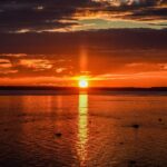 From Rovaniemi: Midnight Sun Forest Lake Float - Discovering the Midnight Sun Forest Lake Float