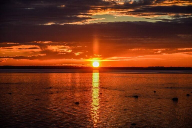 From Rovaniemi: Midnight Sun Forest Lake Float - Discovering the Midnight Sun Forest Lake Float