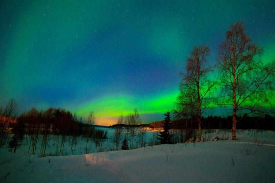 From Rovaniemi: Night Tour in Search of the Aurora with BBQ - Who Will Love It?