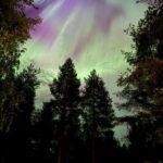 From Rovaniemi: Northern Lights Tour with Campfire Snacks - Authenticity and Practical Value