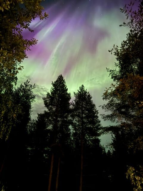 From Rovaniemi: Northern Lights Tour with Campfire Snacks - Authenticity and Practical Value