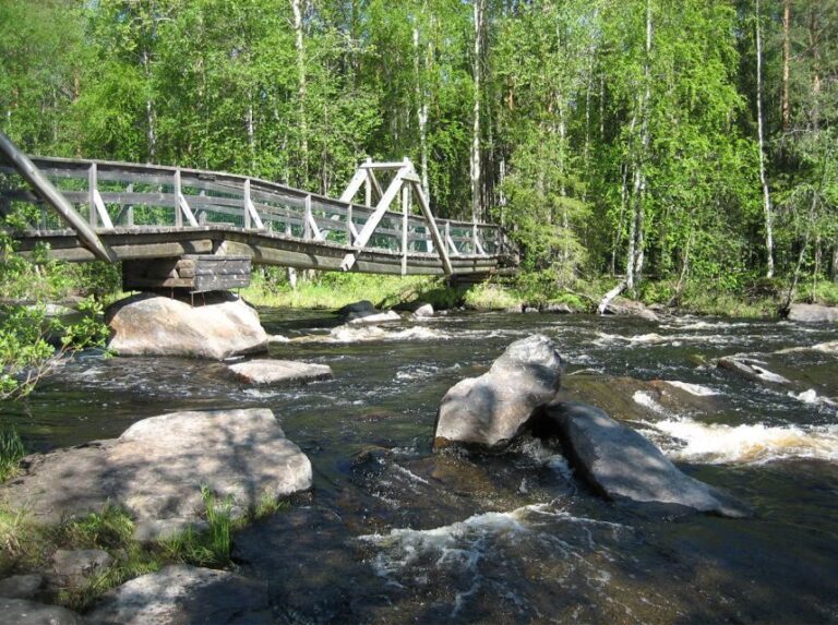 From Rovaniemi: Vikaköngäs Forest Hiking Tour - Exploring the Itinerary and Highlights