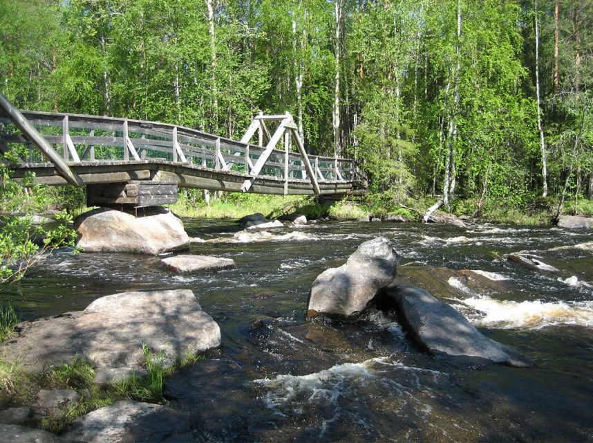 From Rovaniemi: Vikaköngäs Forest Hiking Tour - Exploring the Itinerary and Highlights