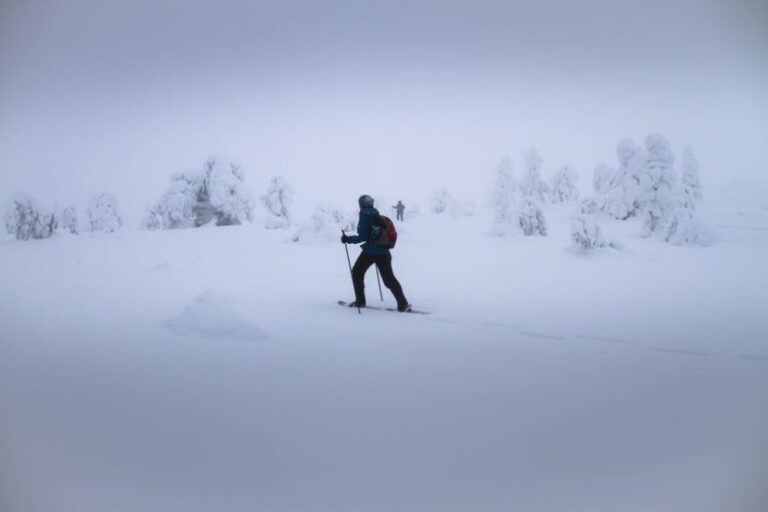From Rovaniemi: Winter Wonderland Hike with a Hot Drink - What’s Included and What You Should Consider