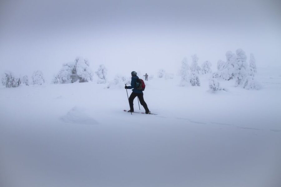 From Rovaniemi: Winter Wonderland Hike with a Hot Drink - What’s Included and What You Should Consider