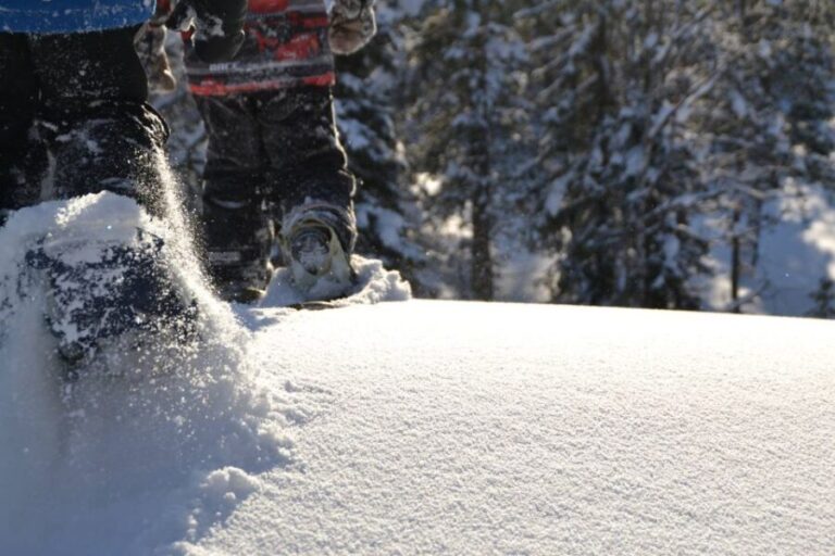 From Ruka: Snowshoeing in Oulanka National Park - What the Reviews Say