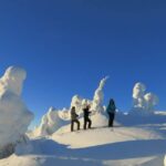 From Ruka: Snowshoeing in Riisitunturi National park - A Deep Dive into the Snowshoeing Experience at Riisitunturi
