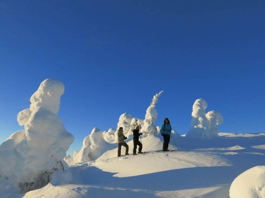 From Ruka: Snowshoeing in Riisitunturi National park - A Deep Dive into the Snowshoeing Experience at Riisitunturi