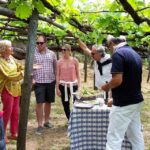 From Salerno: Amalfi Coast Tour and Wine Tasting with Lunch - Discovering the Amalfi Coast in Style and Flavor
