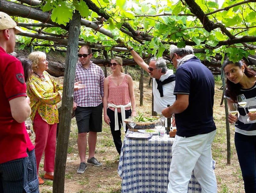 From Salerno: Amalfi Coast Tour and Wine Tasting with Lunch - Discovering the Amalfi Coast in Style and Flavor