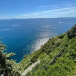 From Salerno: Amalfi Half Day Trip with Scenic Drive - What’s Included & Practicalities