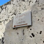 From Salerno: Lemon Tour with Tasting Session and Transfer - Exploring the Full Experience