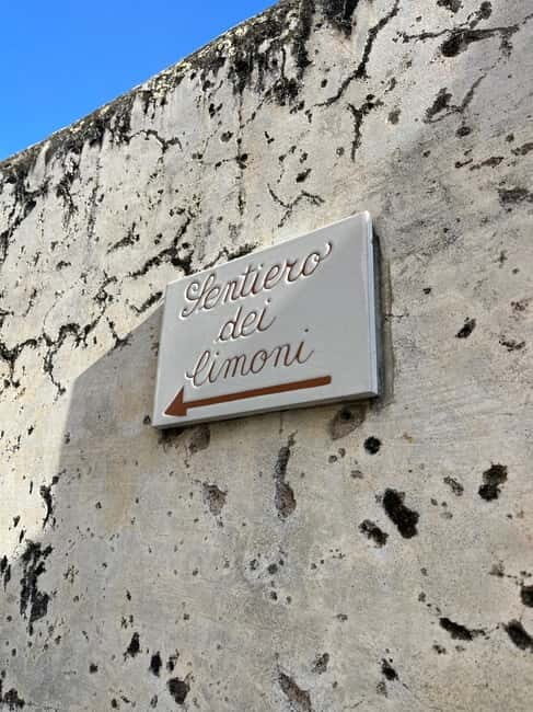 From Salerno: Lemon Tour with Tasting Session and Transfer - Exploring the Full Experience