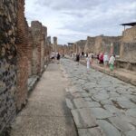From Salerno : Pompeii Guided tour & Sorrento plus Positano - Analyzing the Value